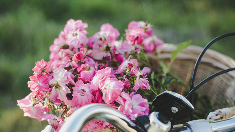 Harry (96) bezorgt bosjes bloemen op zijn fiets