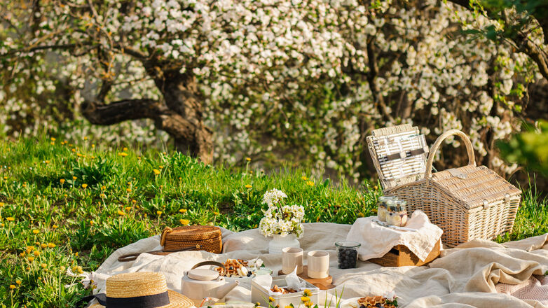 Dit zijn de lekkerste snacks voor een picknick